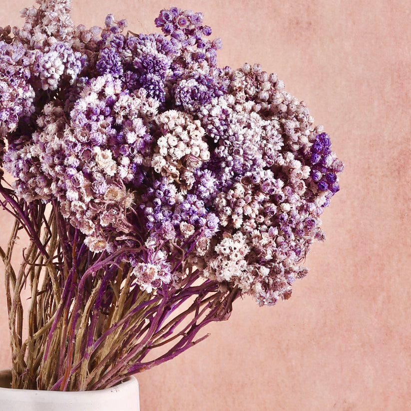 Lavender Hush - Eternal Bloom Bundle – OliveHomeAccents