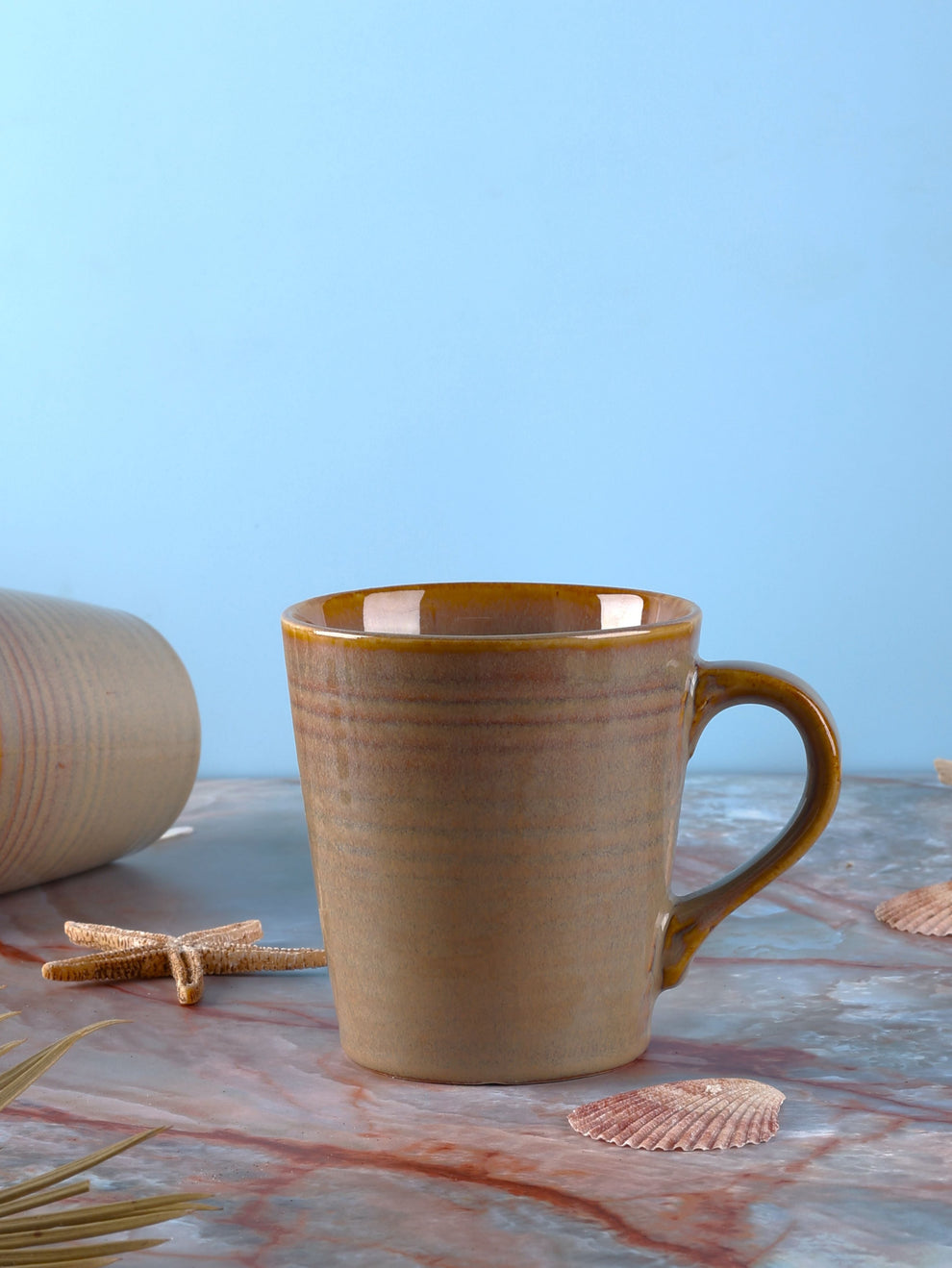 Aranya Daily Glossy Stoneware Mugs - Pack of 2 – OliveHomeAccents